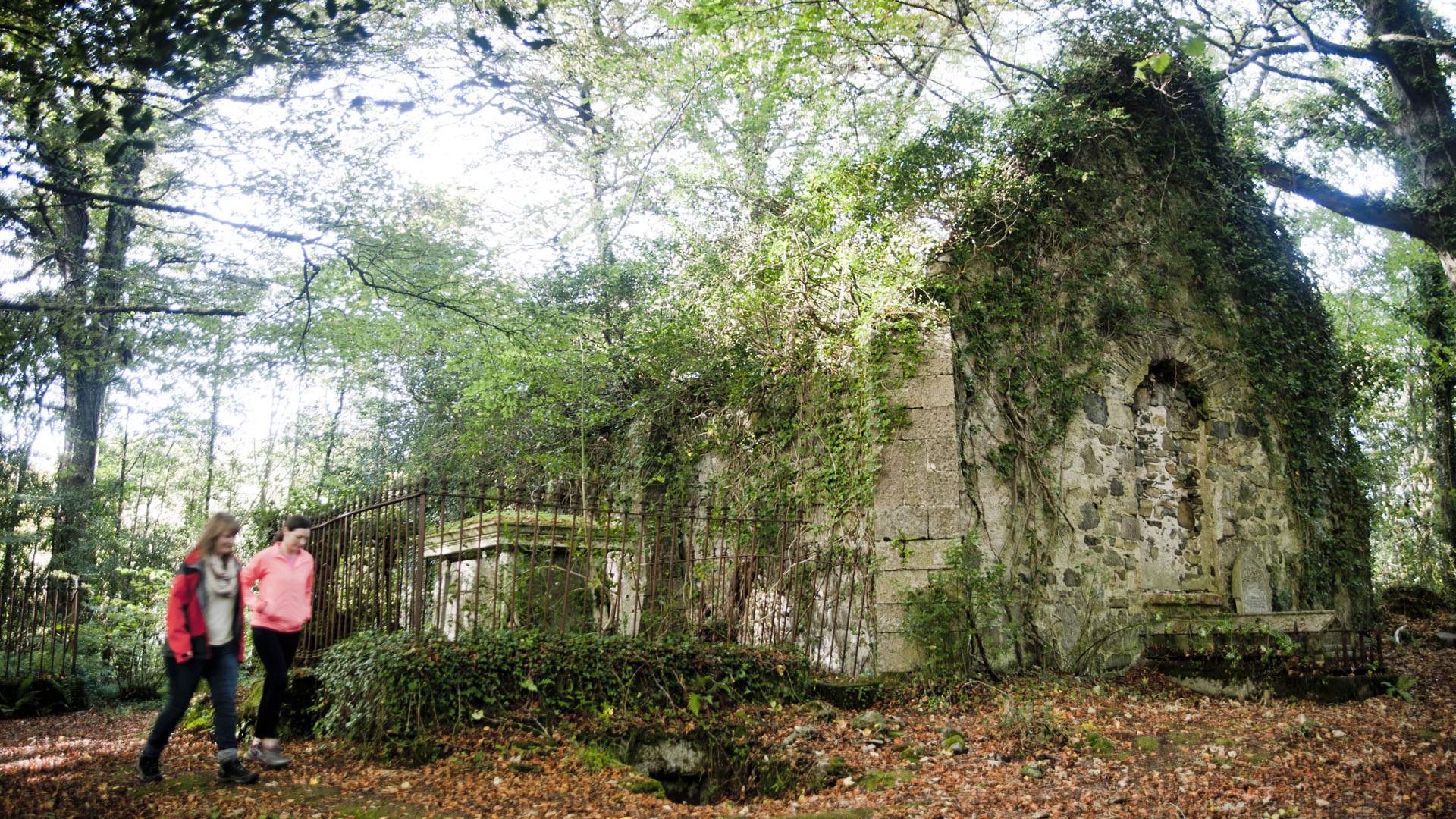 Castle Caldwell Forest Cuilcagh Lakelands Geopark Castle Caldwell Forest Cuilcagh Lakelands Geopark