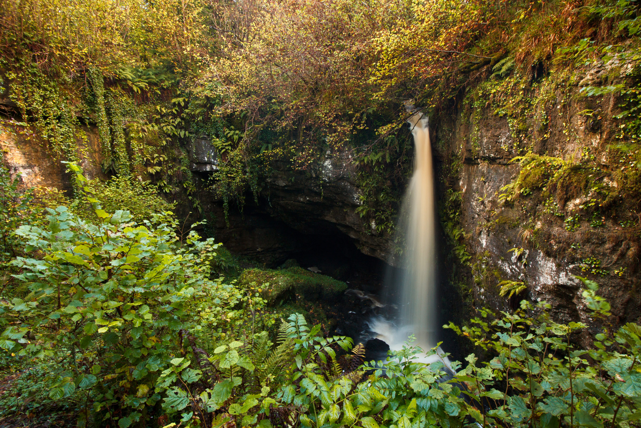 Belmore Forest | Cuilcagh Lakelands Geopark