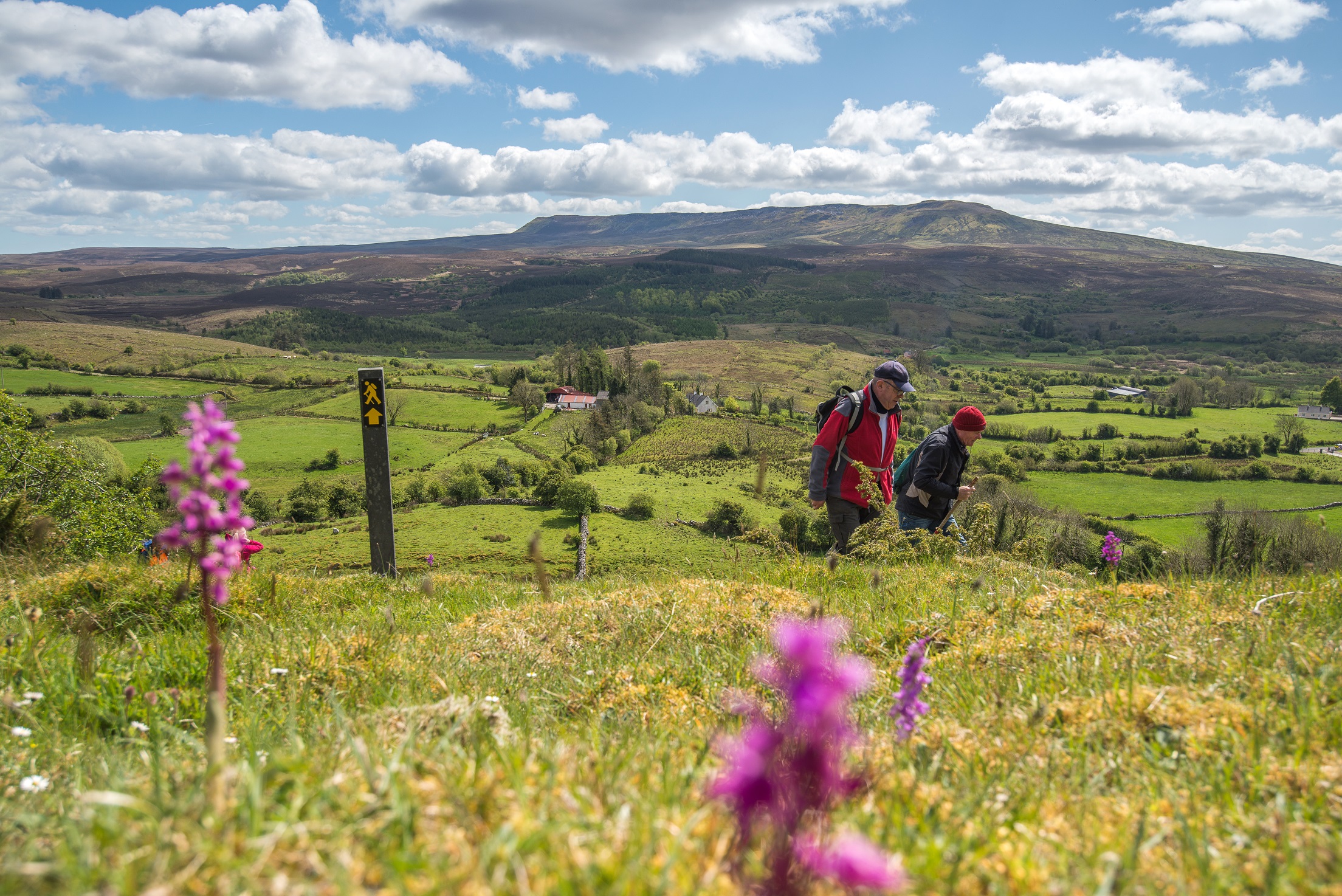 Cavan Way | Cuilcagh Lakelands Geopark